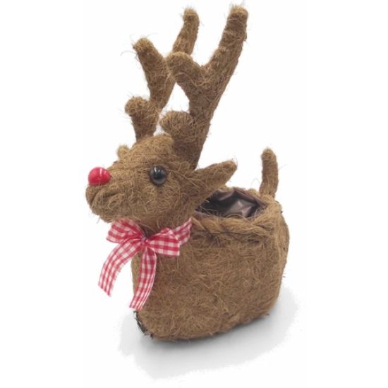 30cm Salim and Coco Fibre Reindeer Planter with Lining – Titleys ...