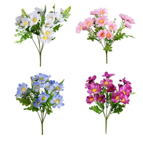 48 X 30cm Cosmos Bush - Assorted Colours - Full Box – Titleys Flowers ...