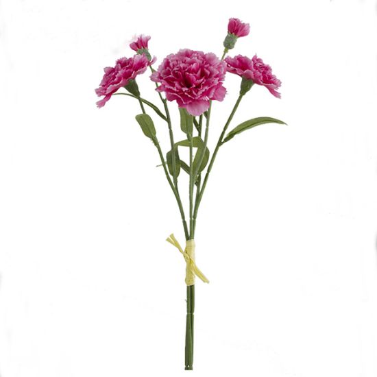 40cm Beauty/Cream Carnation Bundle with Raffis Tie (3 Stems) – Titleys ...