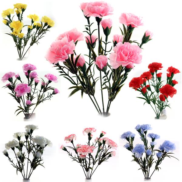 48 X Carnation Bunch - 5 Stems - Assorted Colours - Full Box – Titleys ...